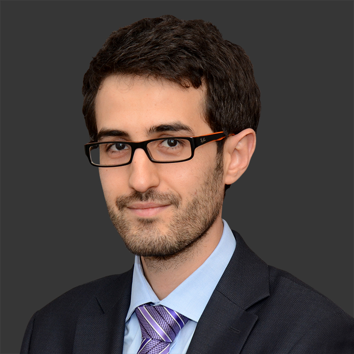 Peter Petrov | GBS Disputes